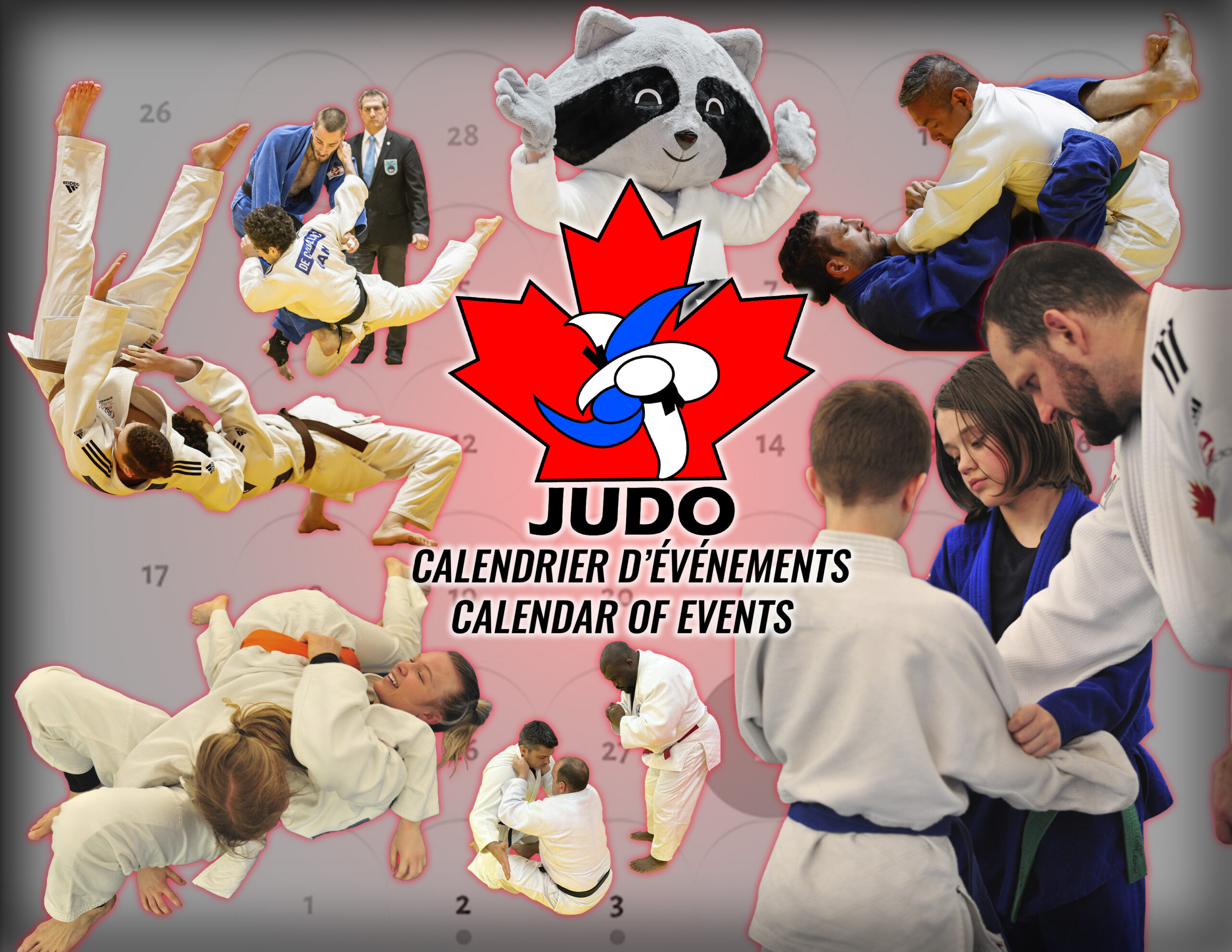 Fran ois Gauthier Drapeau And Catherine Beauchemin Pinard Defeated In Fran ois Gauthier Drapeau And Catherine Beauchemin Pinard Defeated In